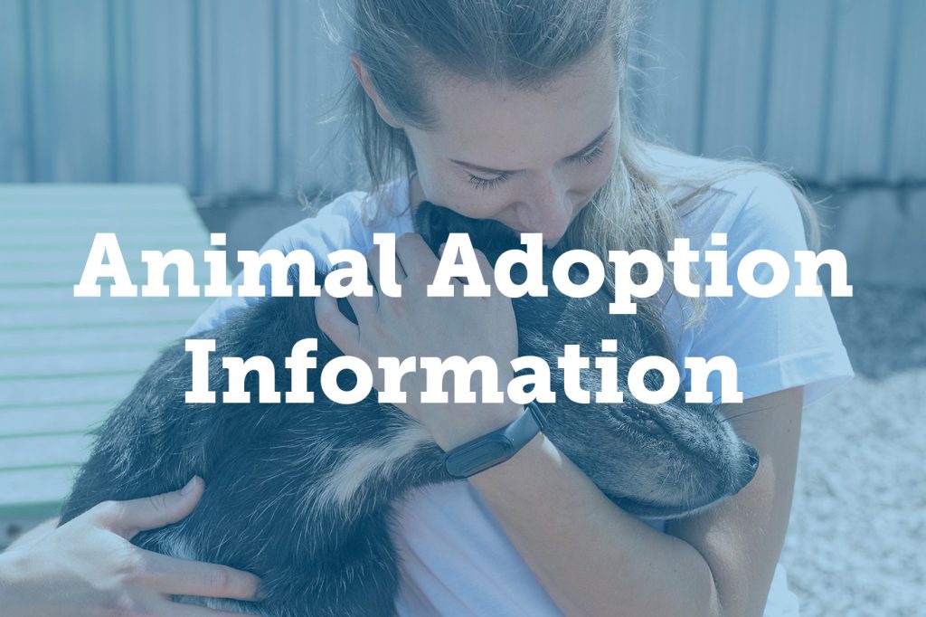 Animal Management & Welfare - City of Amarillo