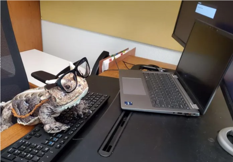 MPO Get Involved - City of Amarillo